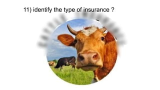 It is all about the Types of insurance.. | PPTX