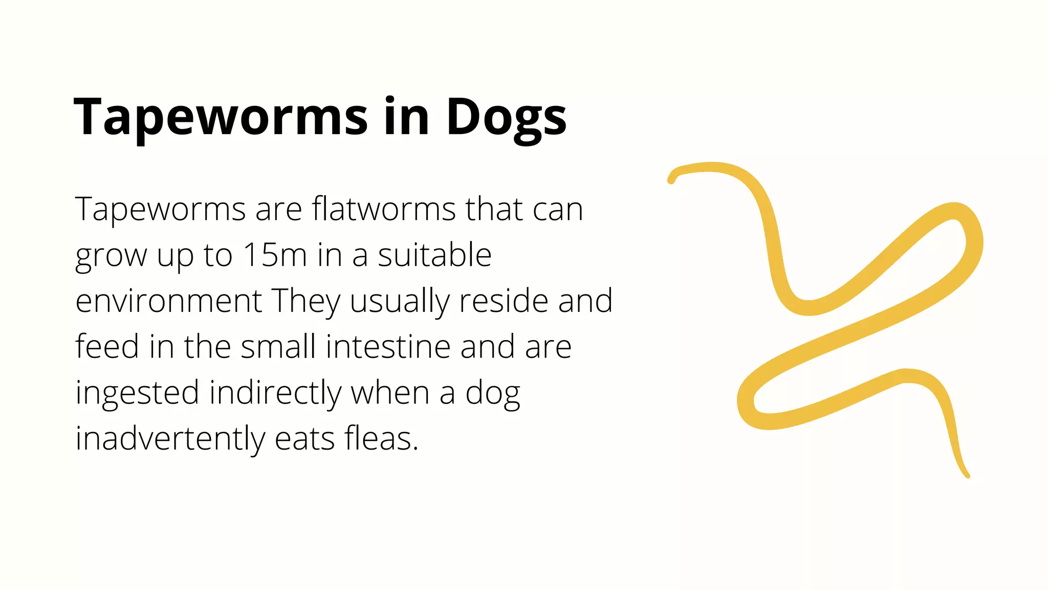 Types of Intestinal Worms In Dogs and Their Prevention | PDF