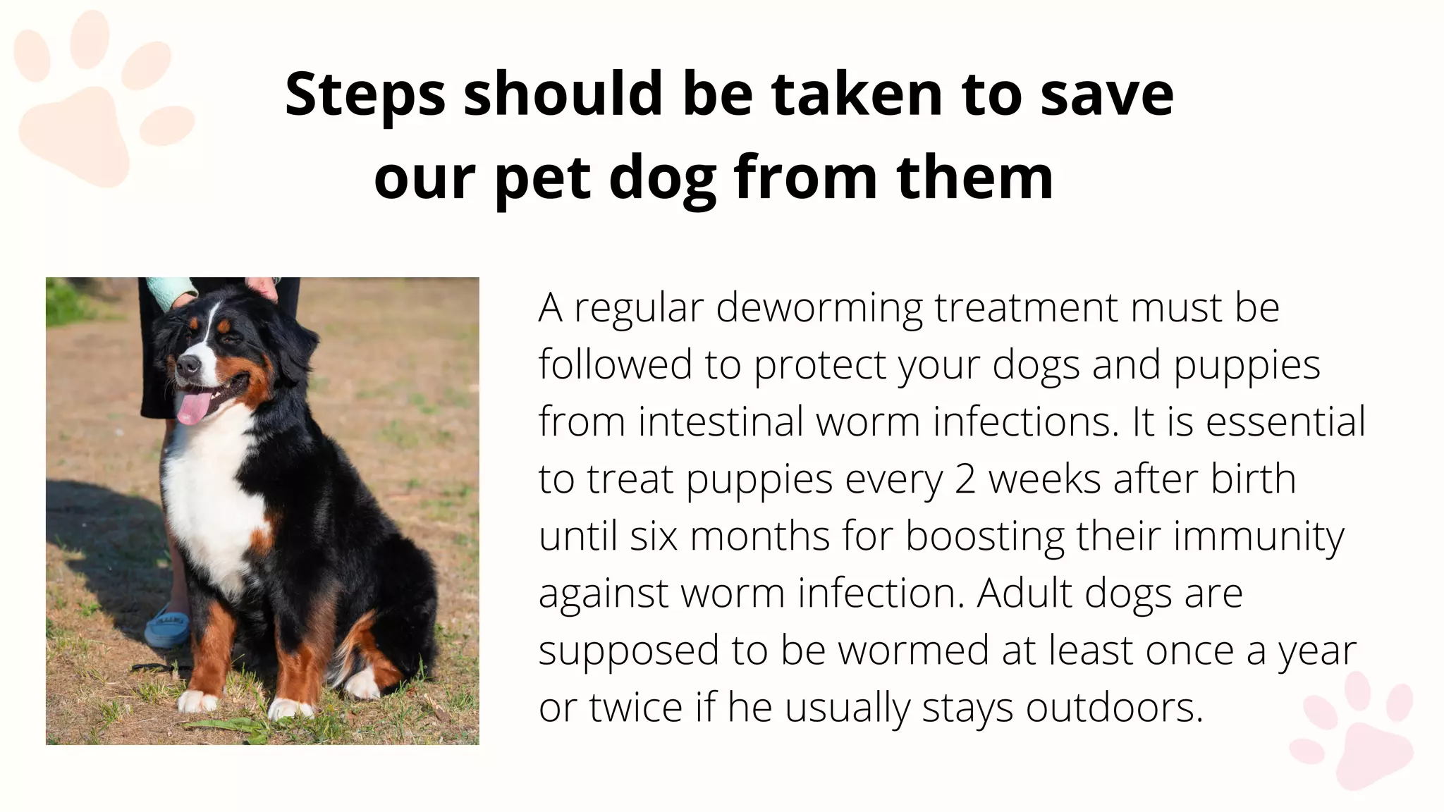 Types of Intestinal Worms In Dogs and Their Prevention | PDF