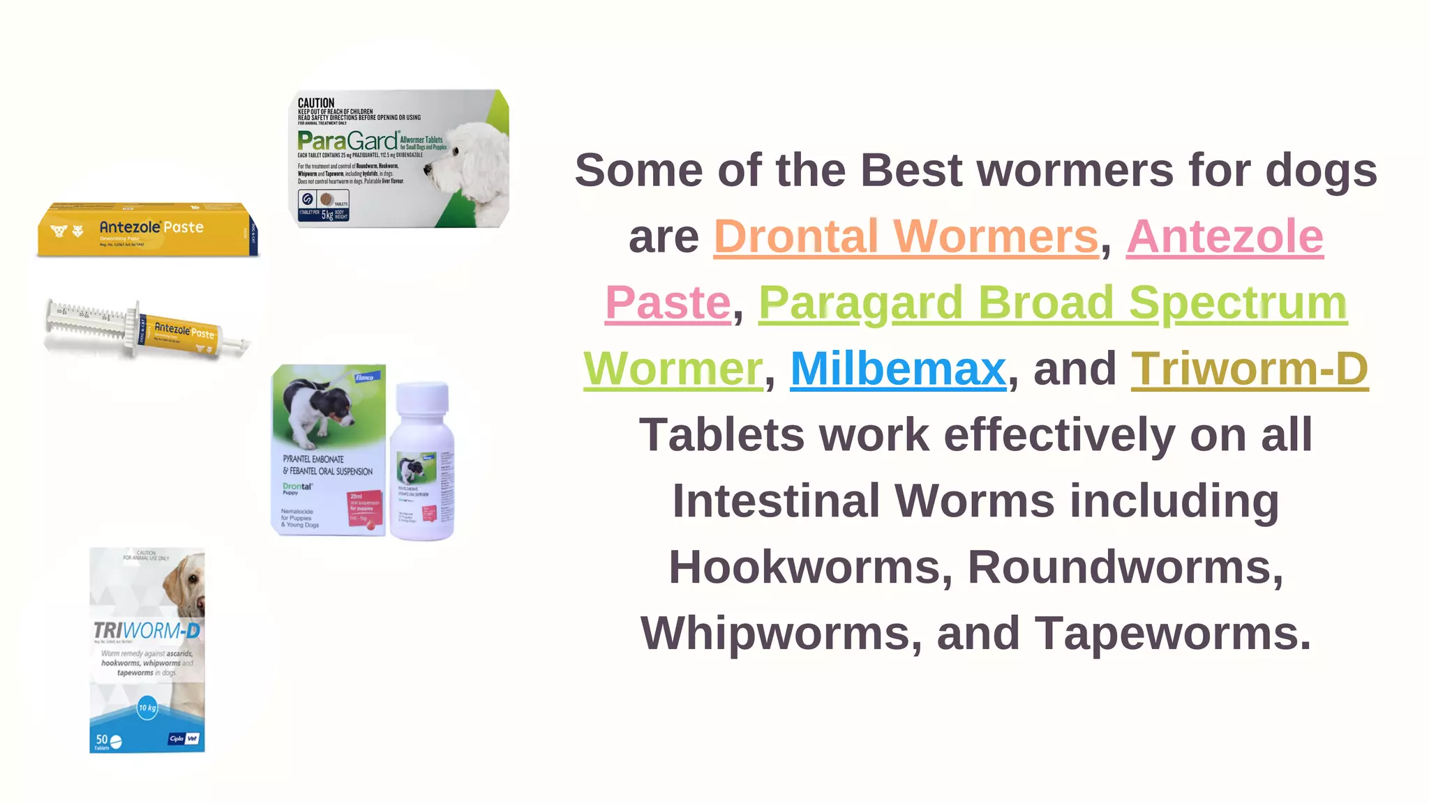 Types of Intestinal Worms In Dogs and Their Prevention | PDF
