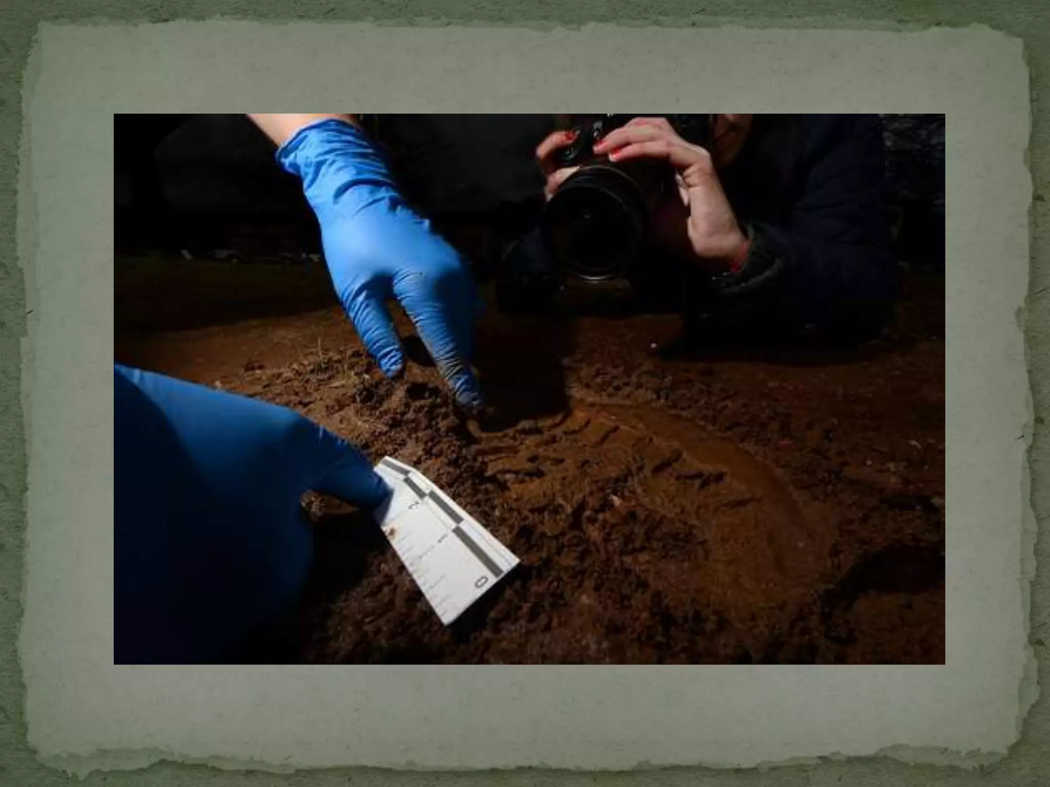 Types of investigation- Adam Quirk | PPT