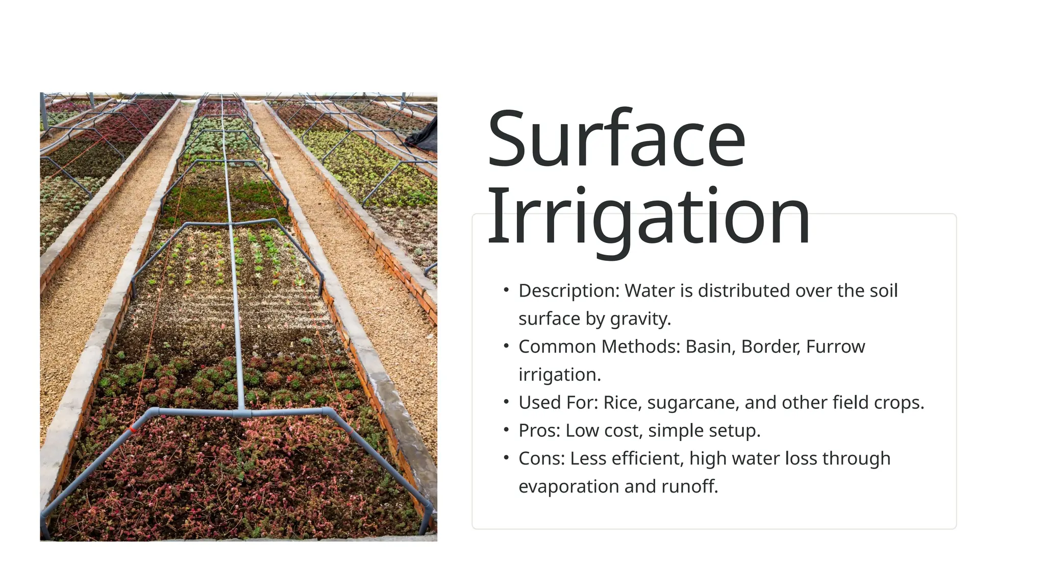 Types of Irrigation Systems: Methods, Applications, and Efficiency | PPTX