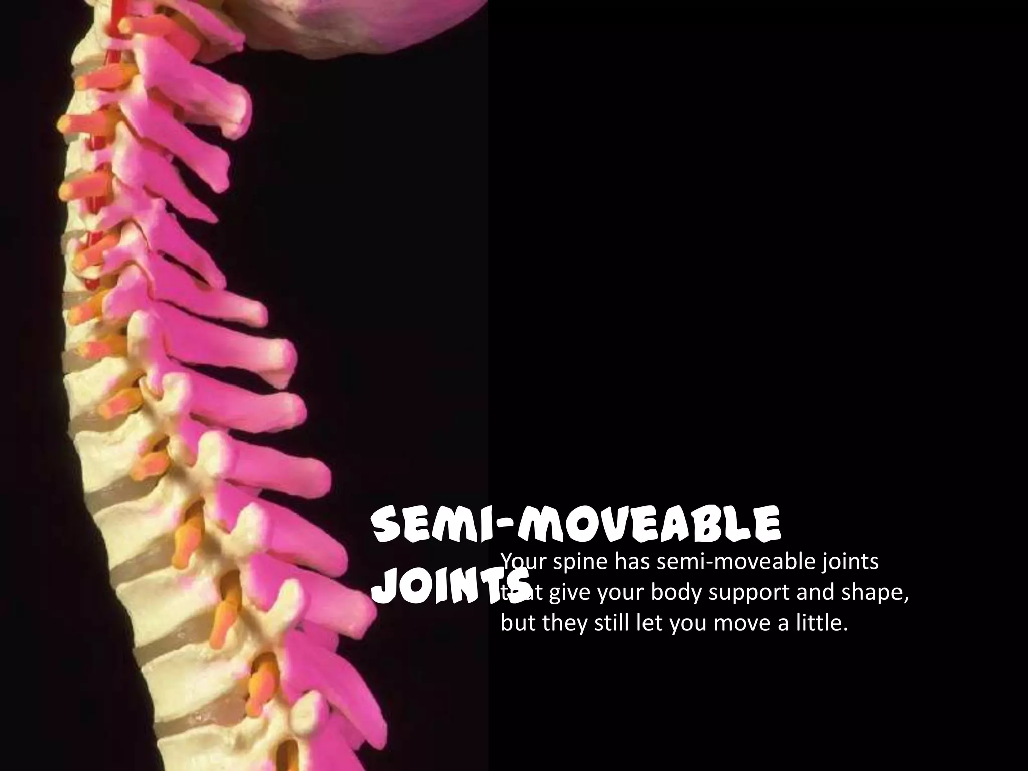 Types of Joints | PPTX