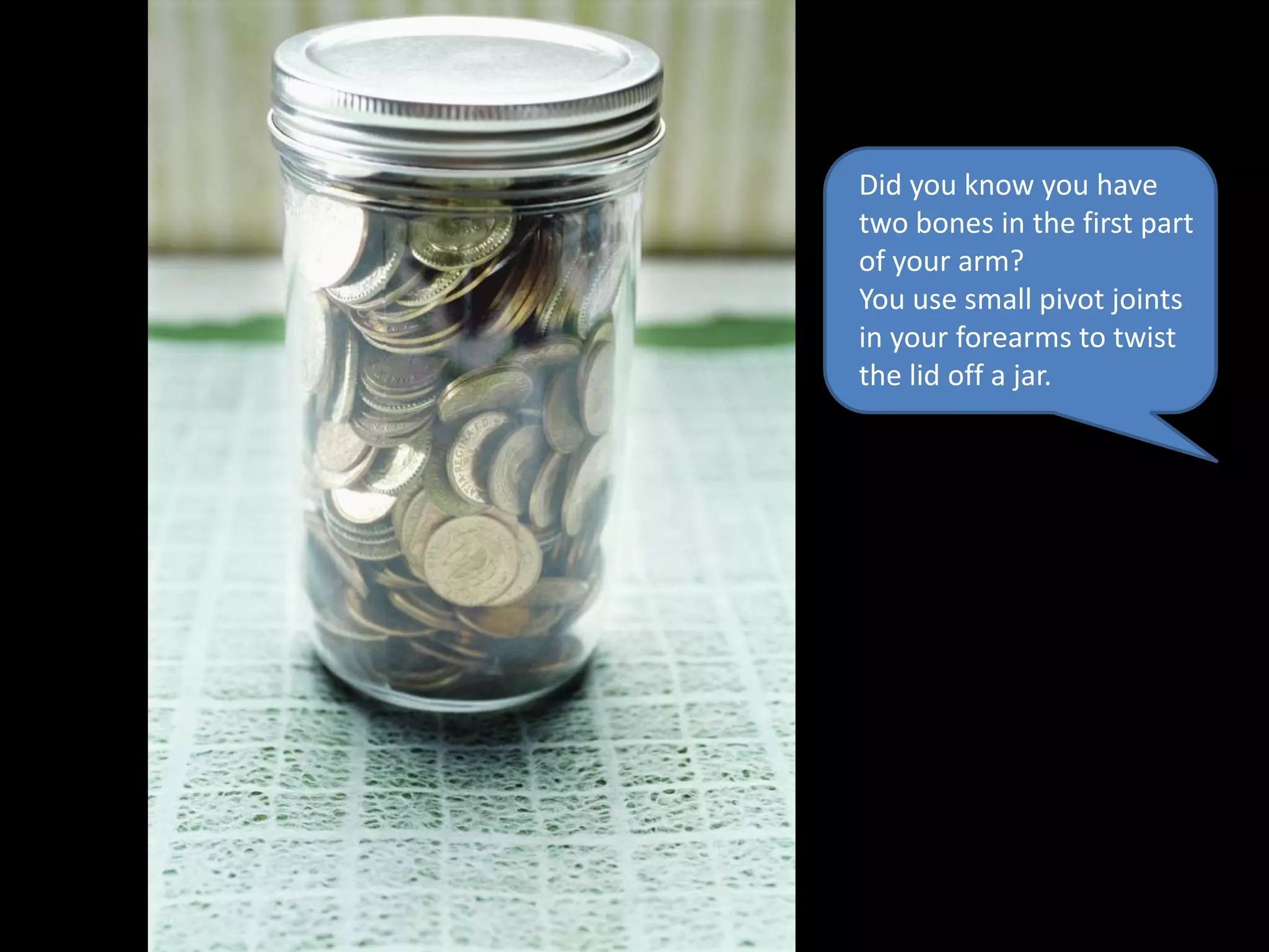 Types of Joints | PPTX