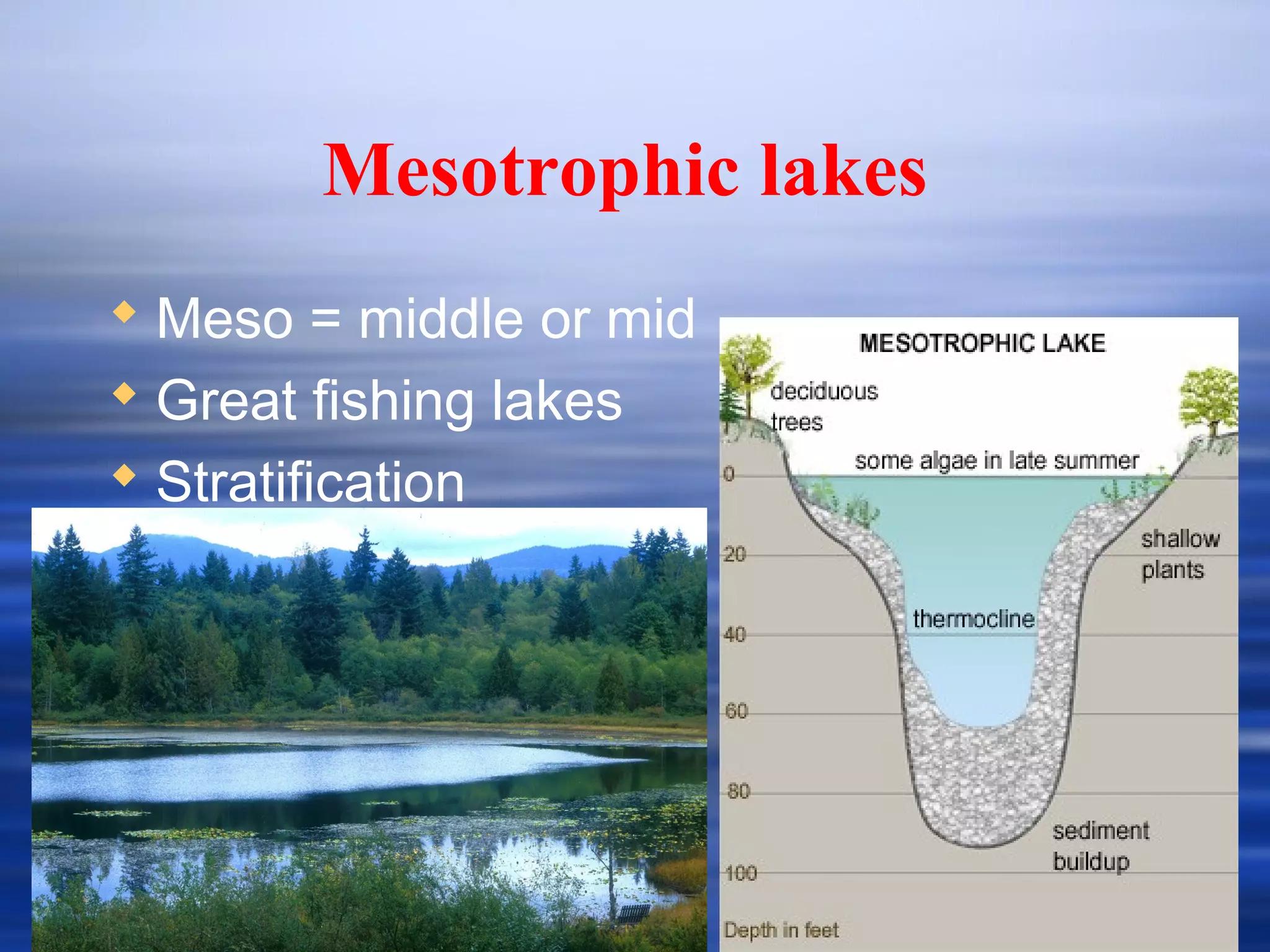 Types of lake | PPT
