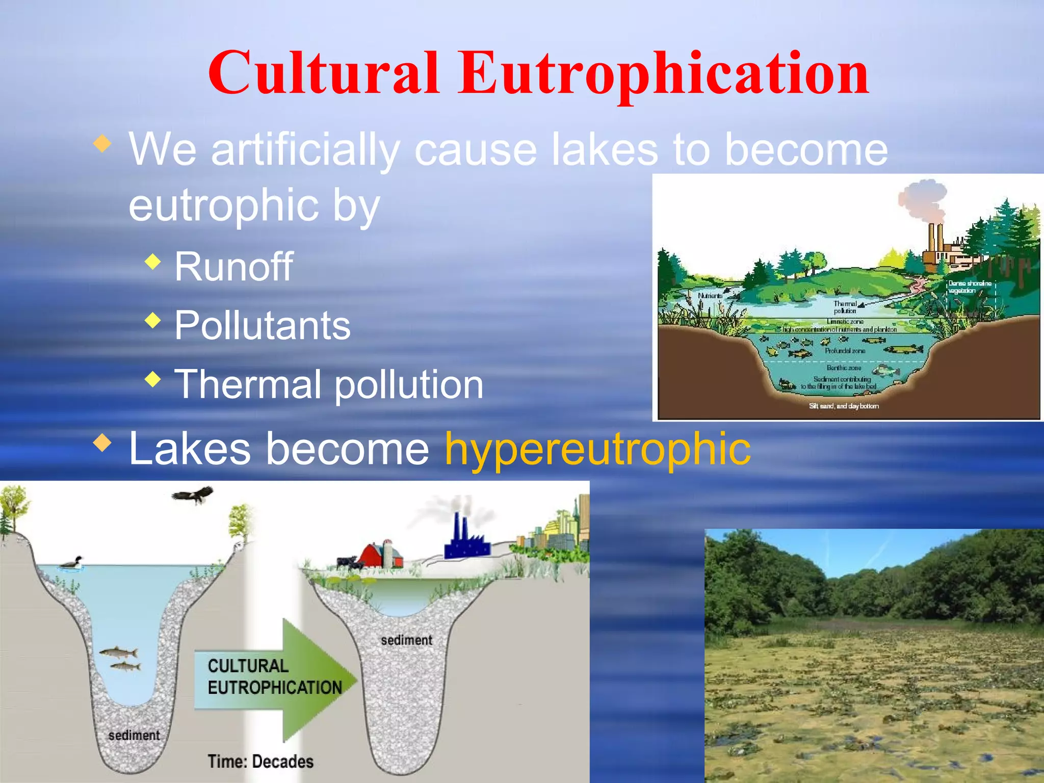 Types of lake | PPT