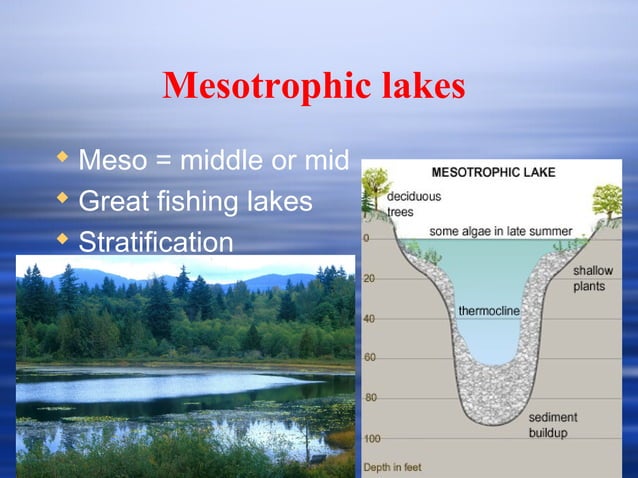 Types of lake | PPT