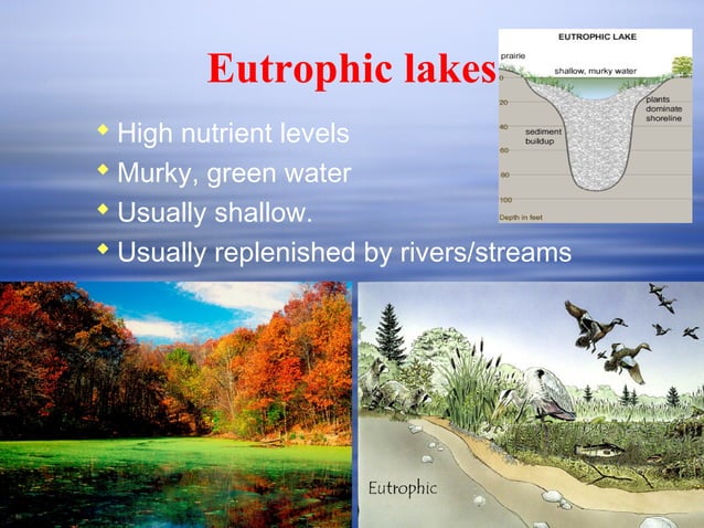 Types of lake | PPT