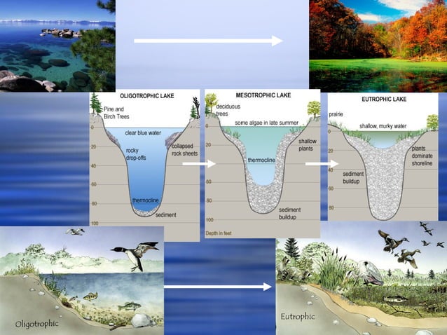 Types of lake | PPT