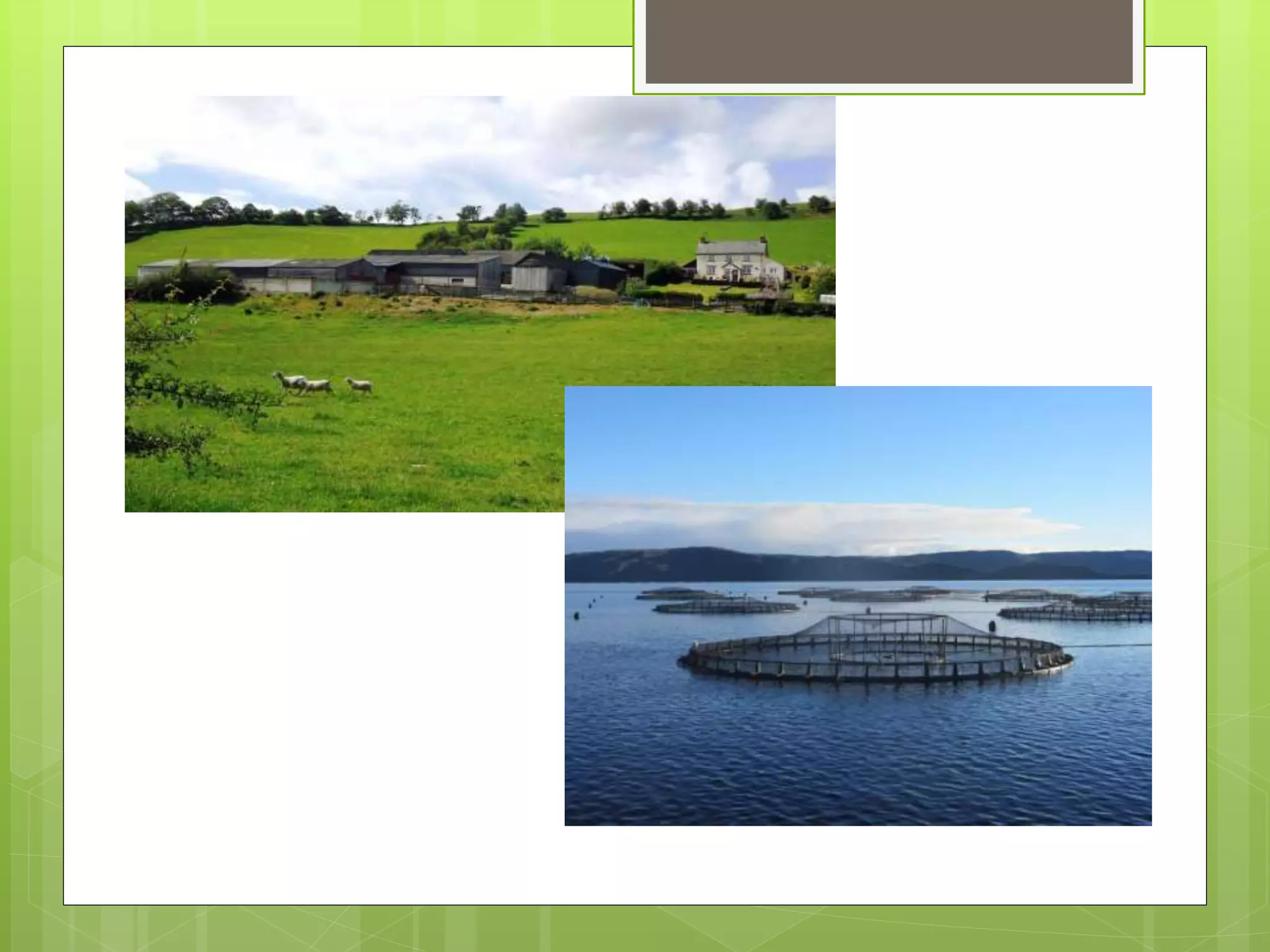 Types of landscapes | PPTX