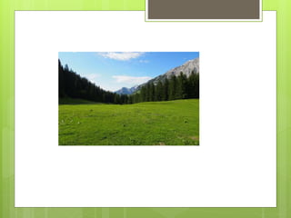 Types of landscapes | PPTX