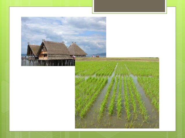 Types of landscapes | PPTX | Agriculture | Industries