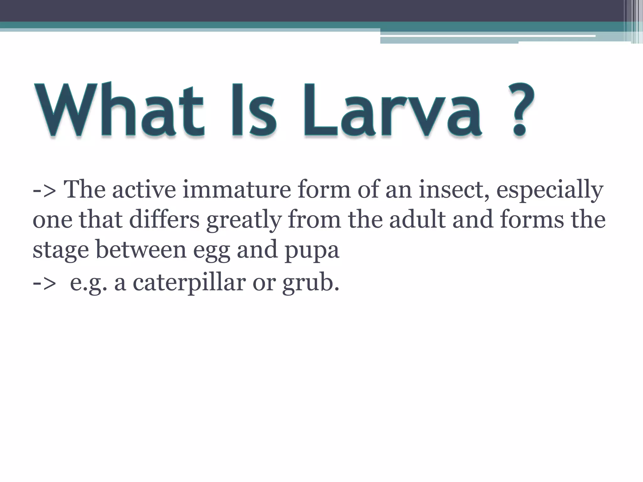 Types of larva | PPTX