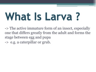 Types of larva | PPTX