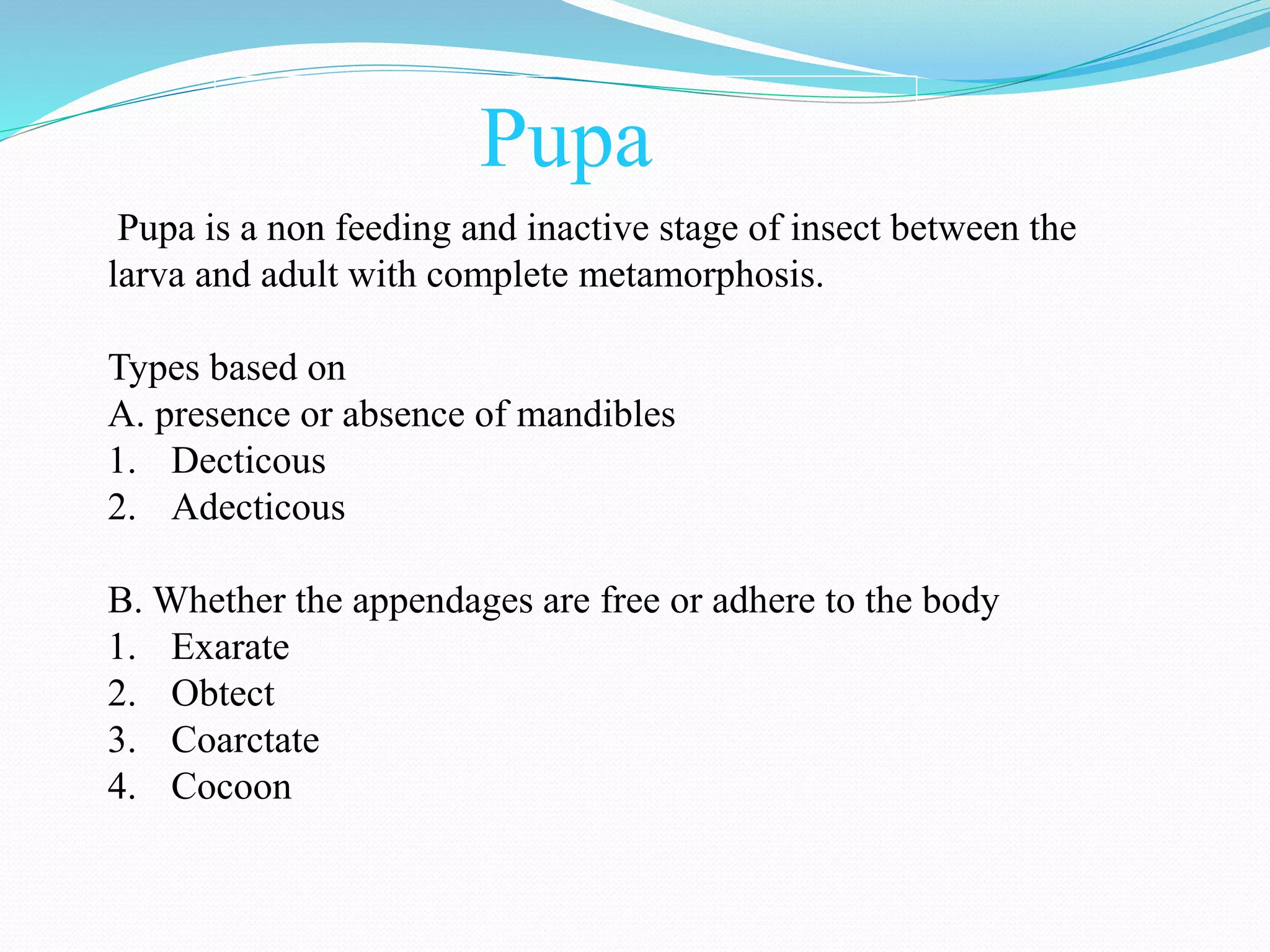 Types of larva and pupa | PPTX