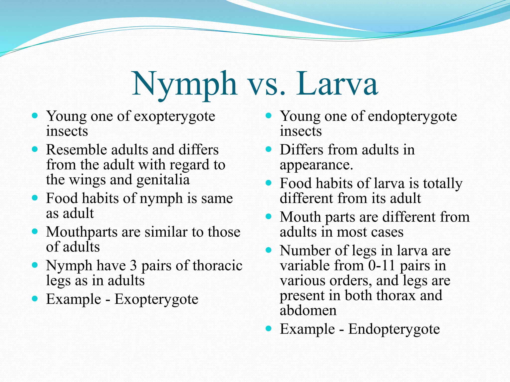 Types of larva and pupa | PPTX