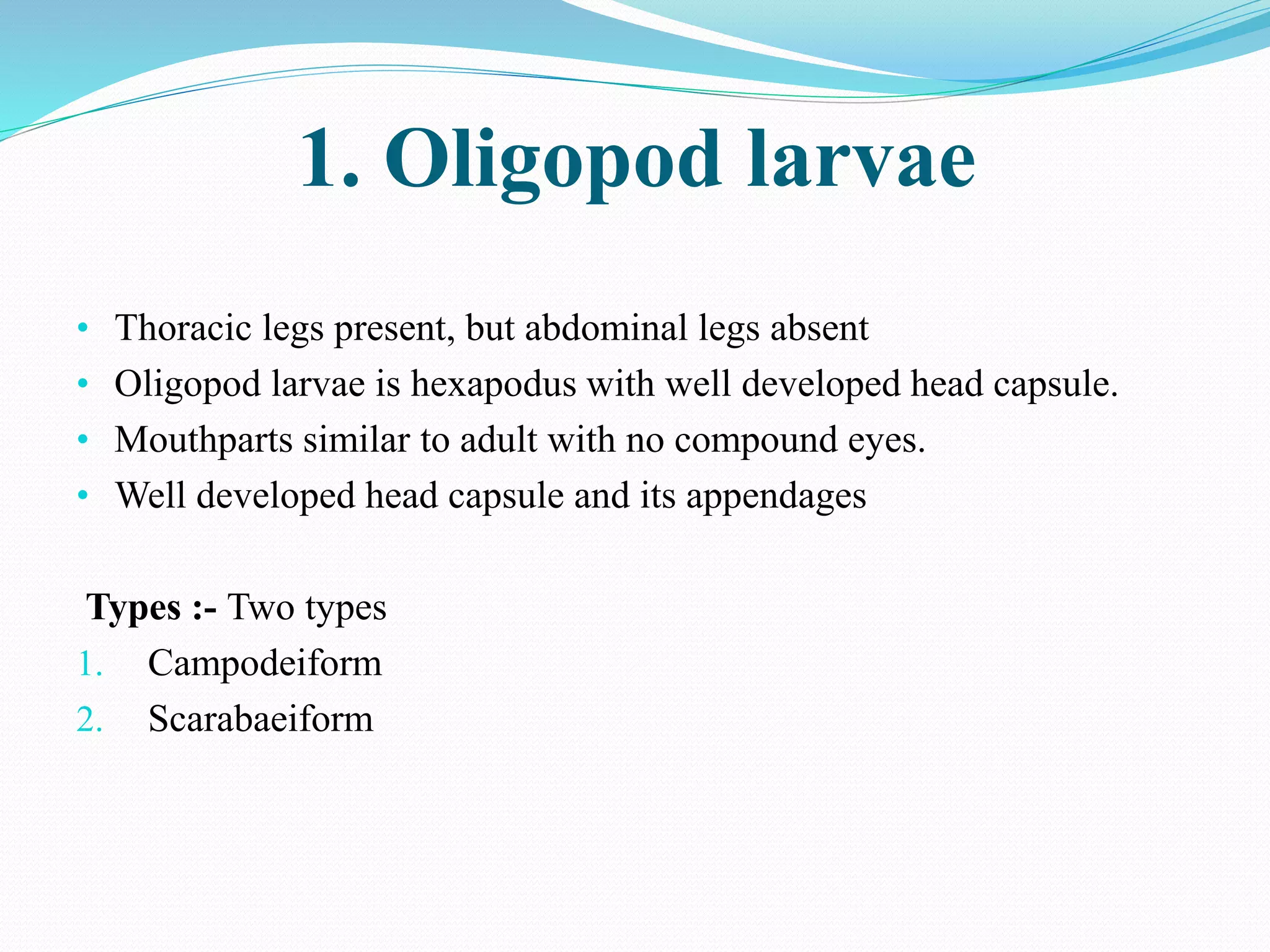 Types of larva and pupa | PPTX