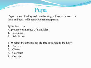 Types of larva and pupa | PPTX