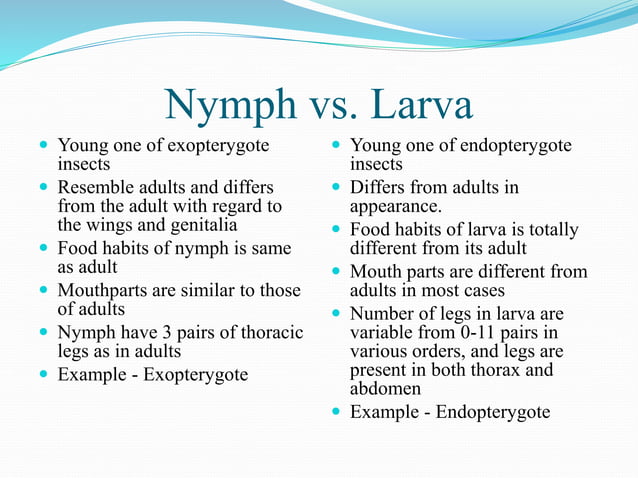 Types of larva and pupa | PPTX
