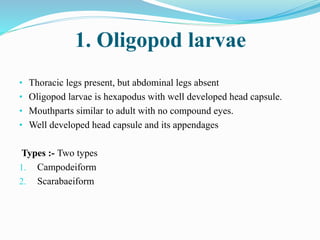 Types of larva and pupa | PPTX