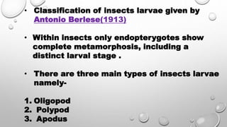 Types of larvae by shadab khan | PPT