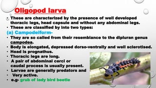 Types of larvae by shadab khan | PPT