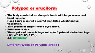 Types of larvae by shadab khan | PPT