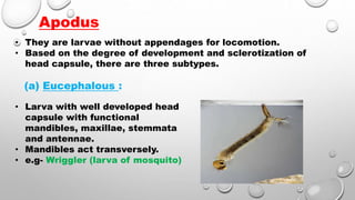 Types of larvae by shadab khan | PPT