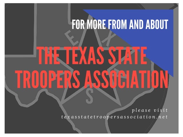 Types of Law Enforcement Agencies | PDF