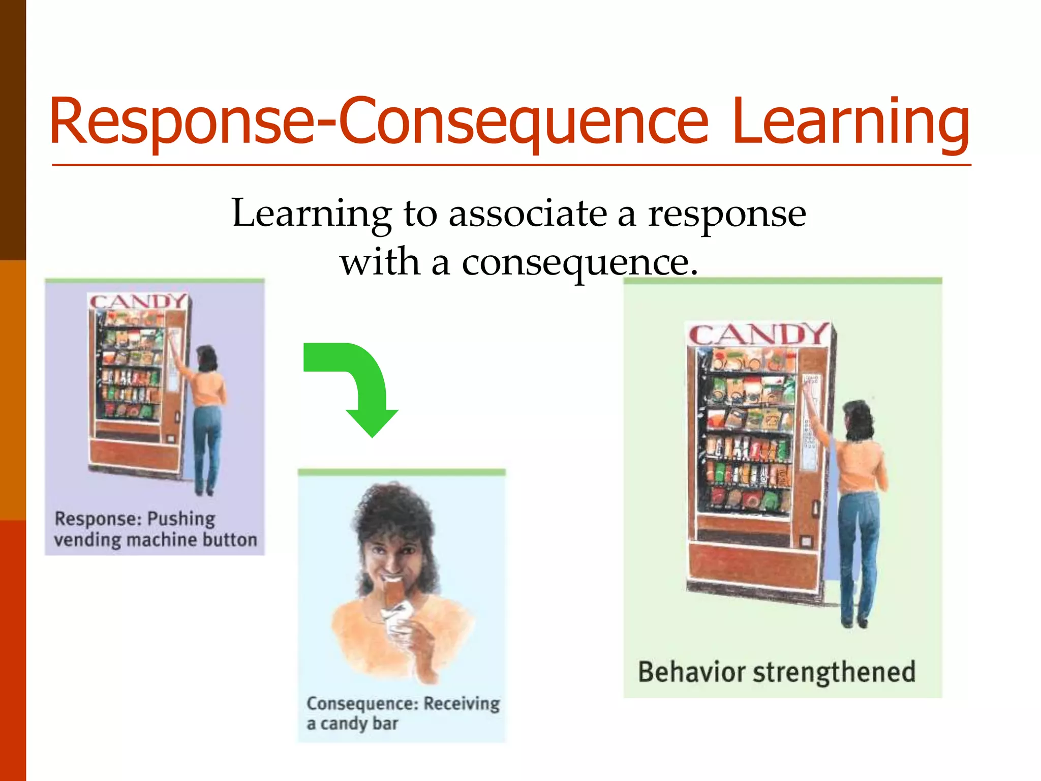 Types of Learning.pdf