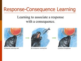 Types of Learning.pdf