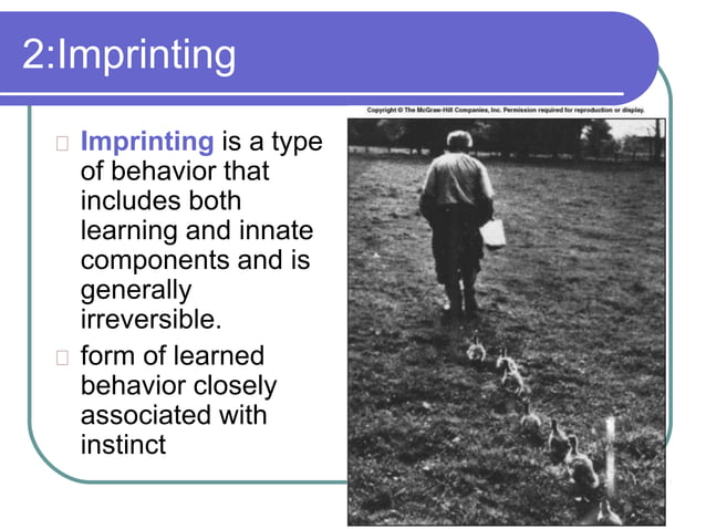 Types of learning behavier | PPTX