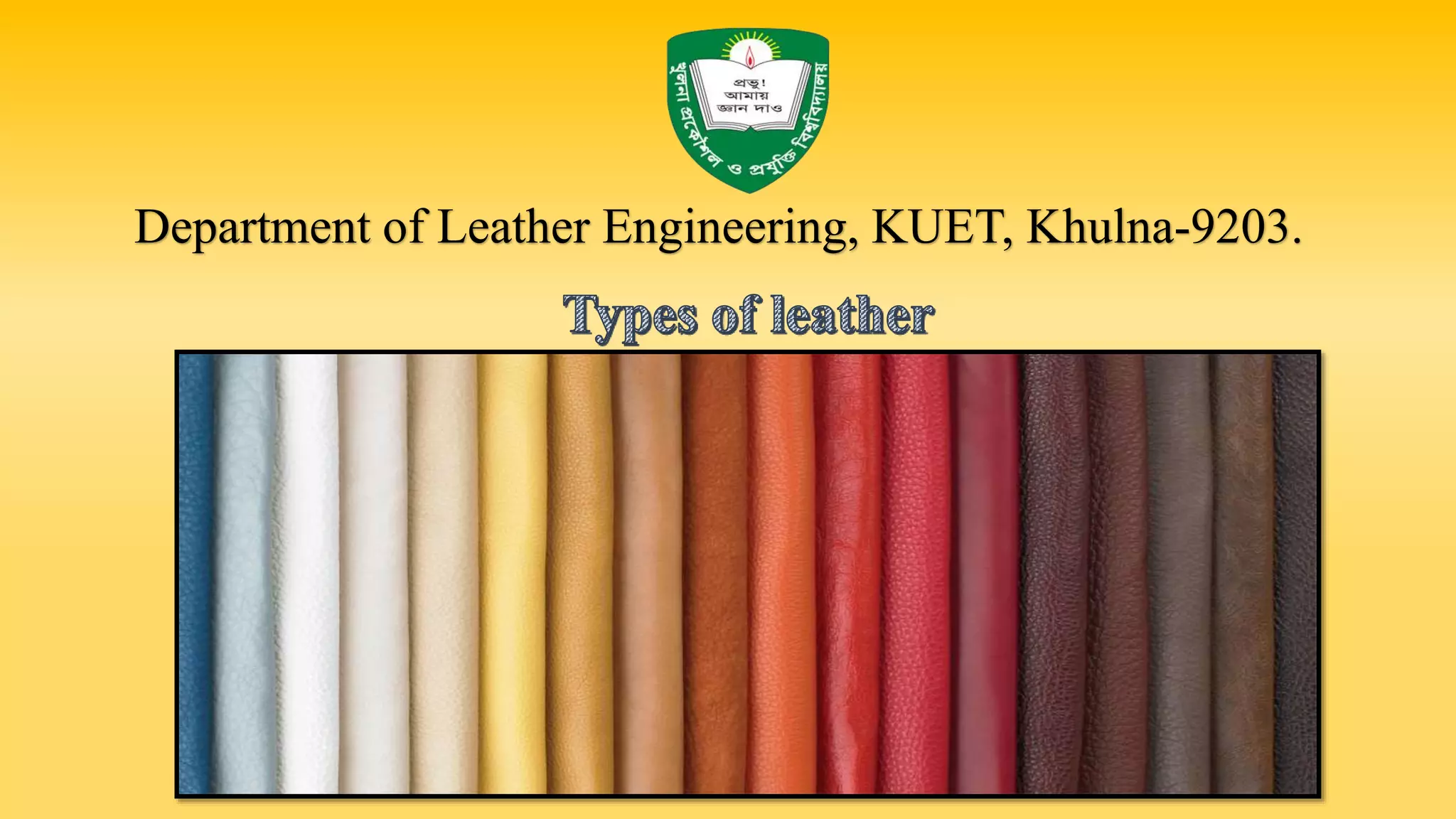 Types of leather | PPTX