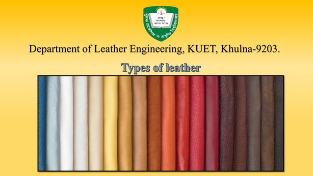 Types of leather | PPTX