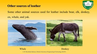 Types of leather | PPTX