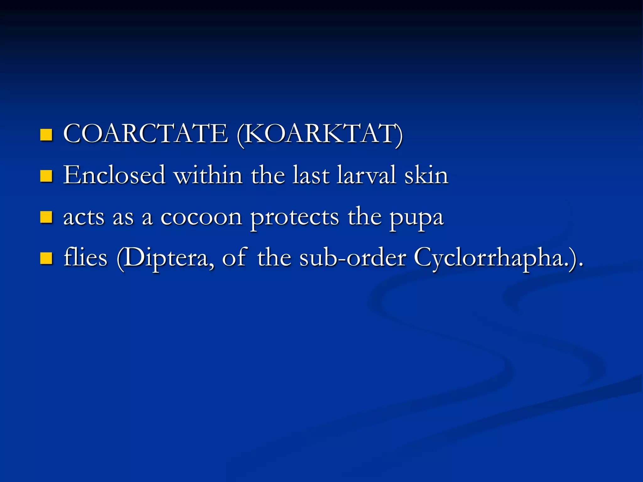 legs types in insects.ppt | Cricket | Sports