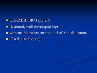 legs types in insects.ppt