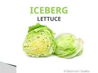 Different Types of lettuce which are used in cooking PPT.pptx