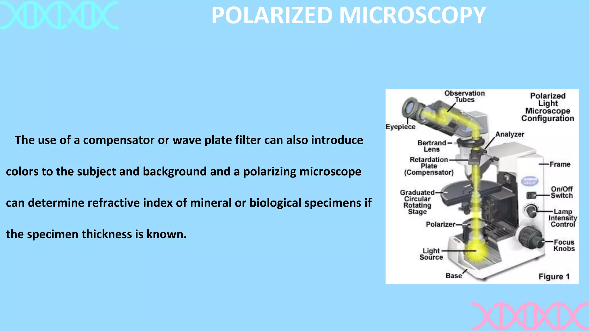Types of Light Microscopes used in Histological Studies.pptx