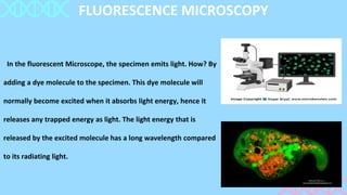 Types of Light Microscopes used in Histological Studies.pptx