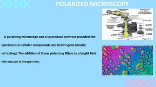 Types of Light Microscopes used in Histological Studies.pptx