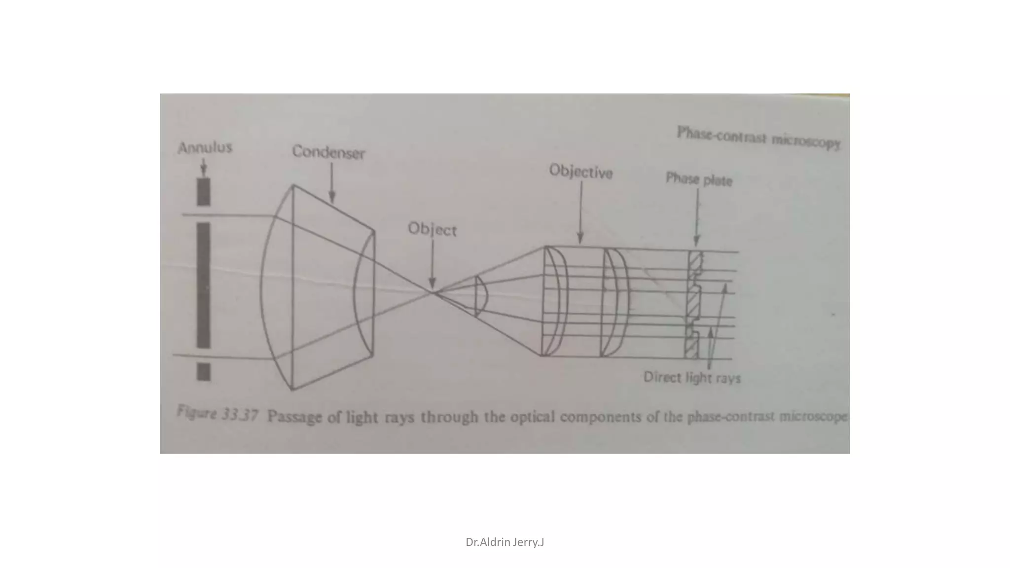 Types of light microscopy | PPTX