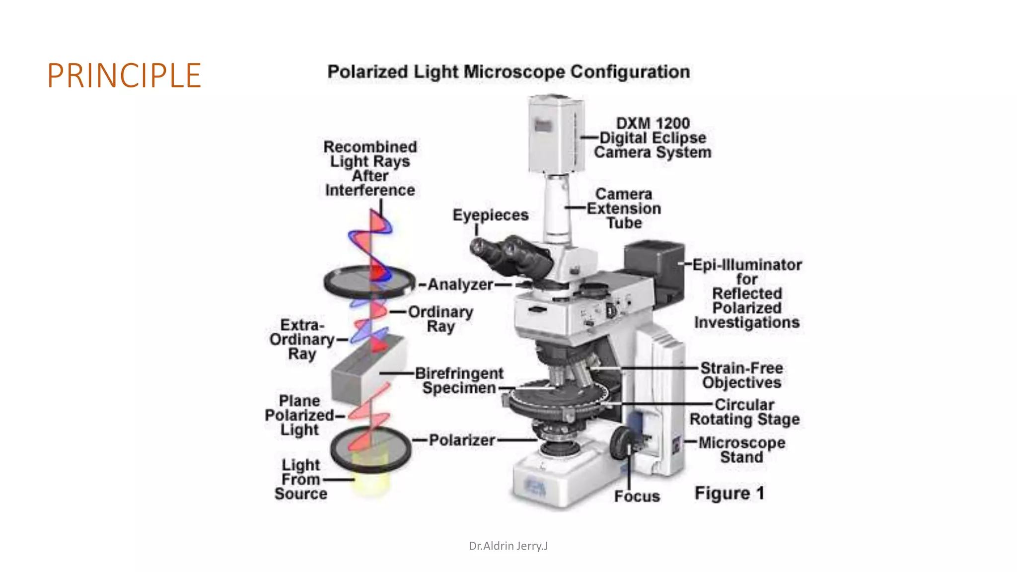 Types of light microscopy | PPTX