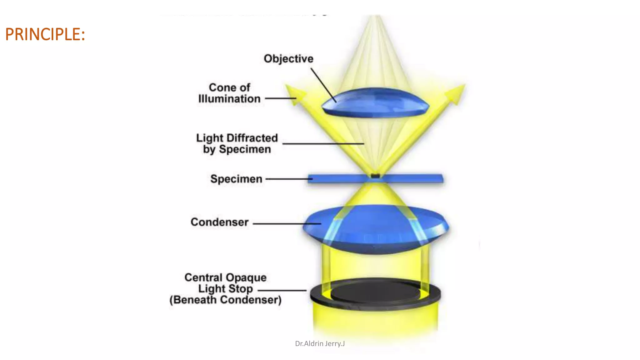 Types of light microscopy | PPTX