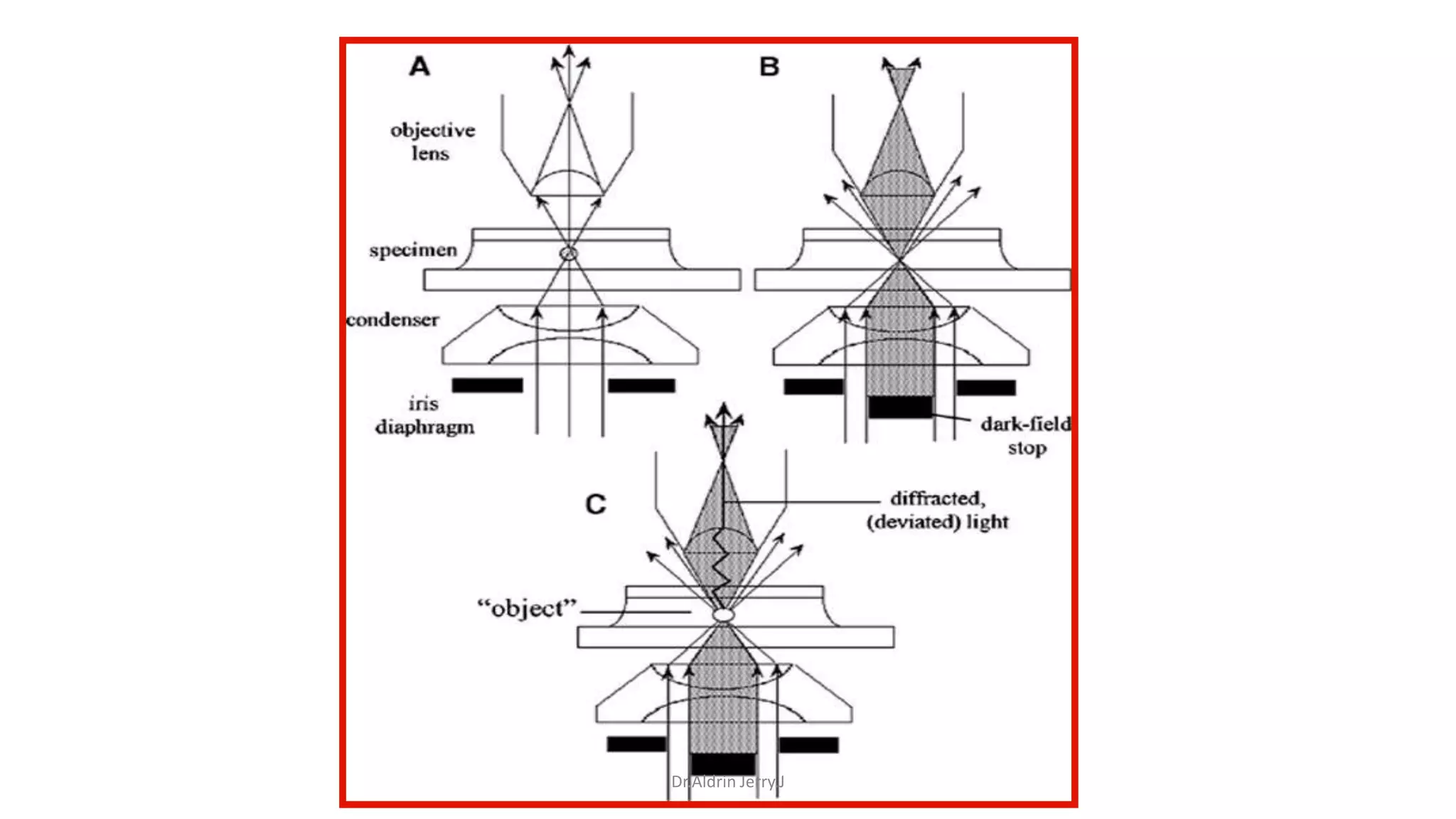 Types of light microscopy | PPTX