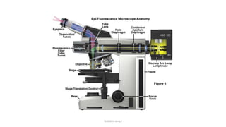 Types of light microscopy | PPTX