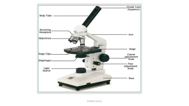 Types of light microscopy | PPTX