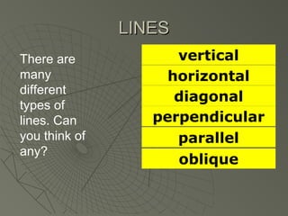 Kinds Of Lines In Math