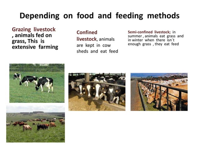Types of livestock , | PPT