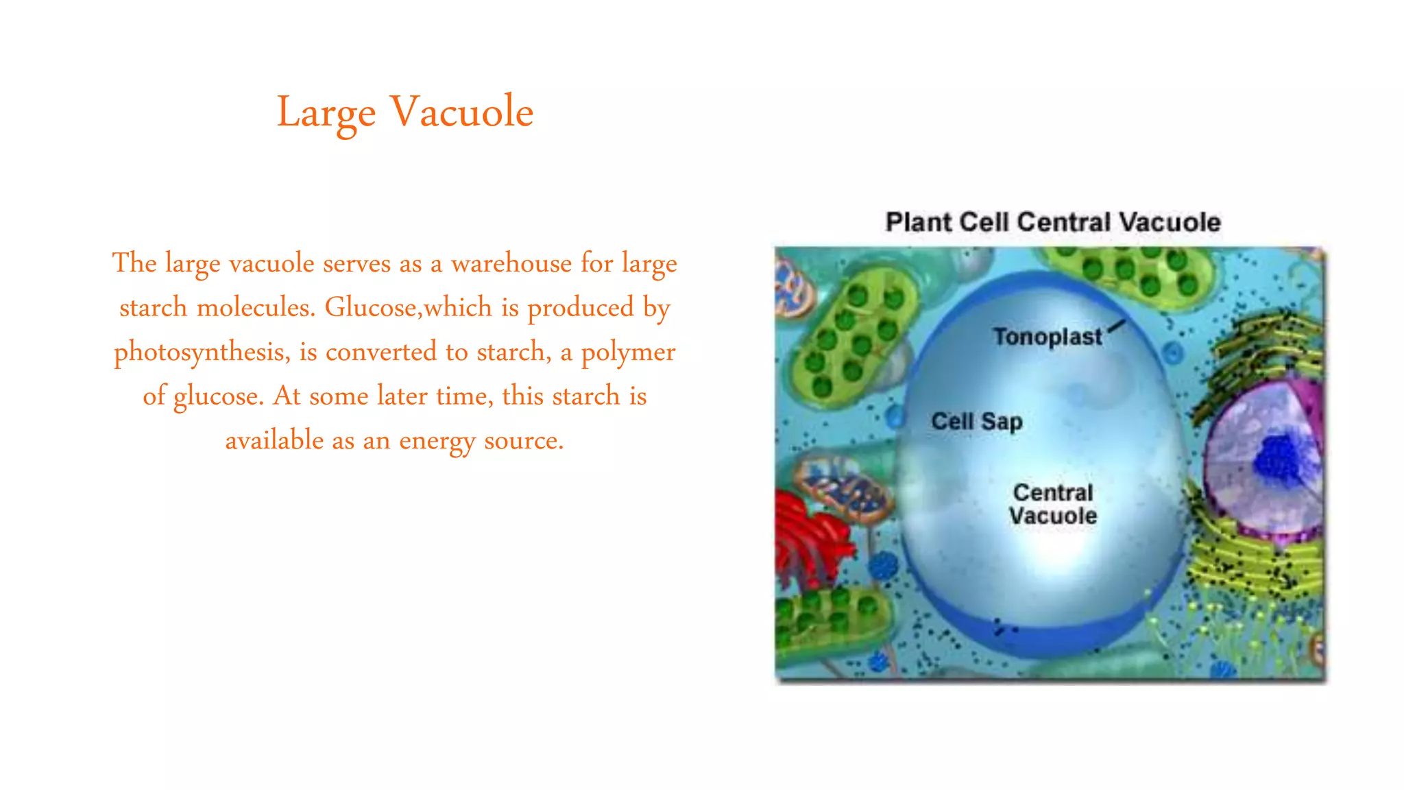 Types of living cells | PPTX